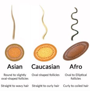 How is Asian Hair Different in 2026?
